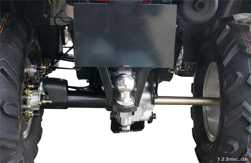 Ny Linhai 300 2x4 4x4 2022 til salg - 123mc